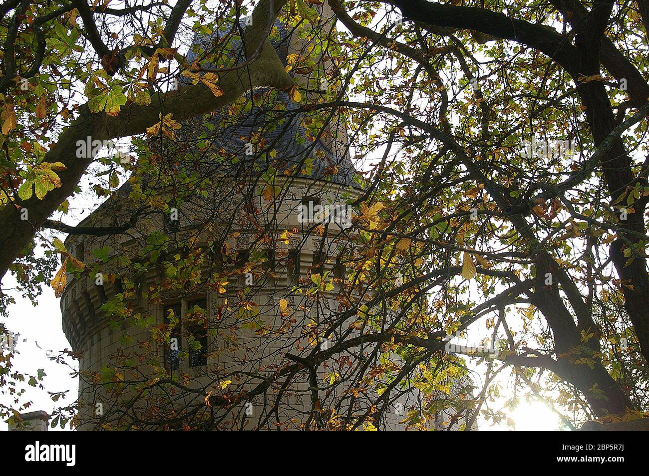 French castle tower behind the trees in a fairytale scene Stock Photo ...