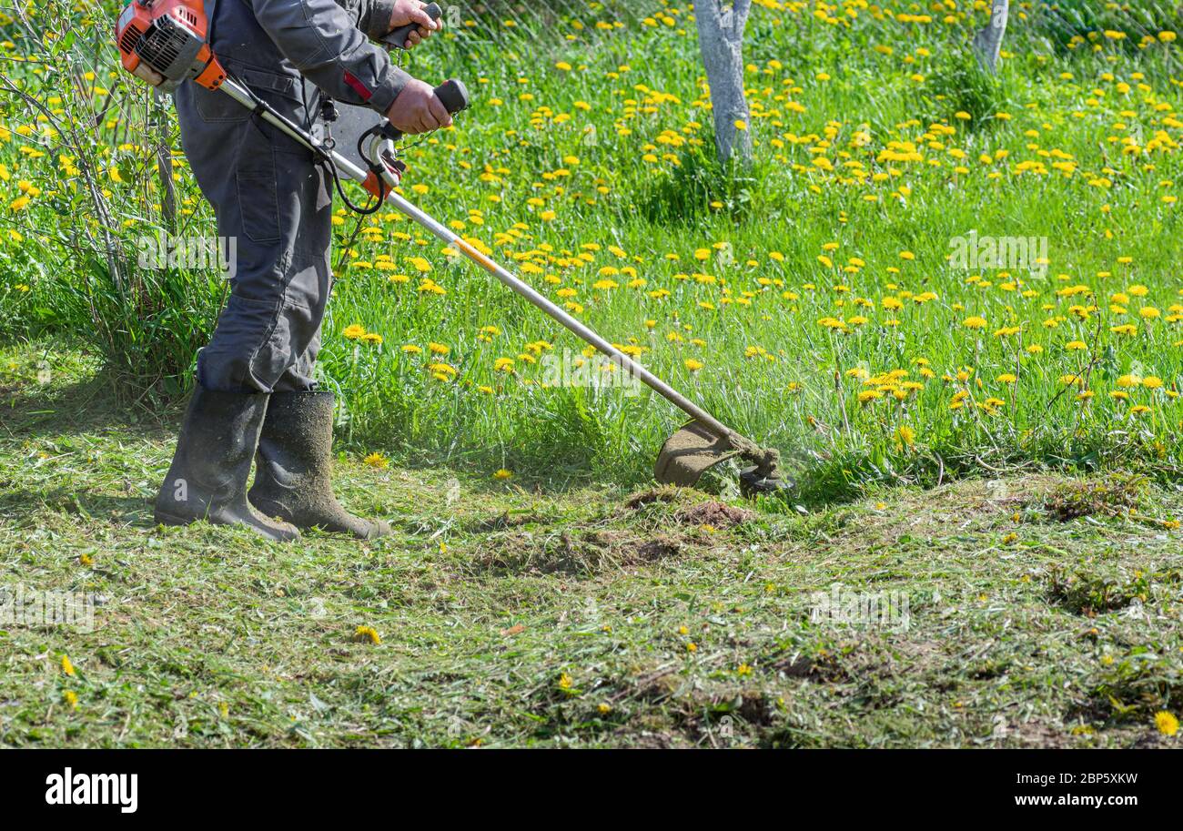 Gas grass mower hi-res stock photography and images - Alamy