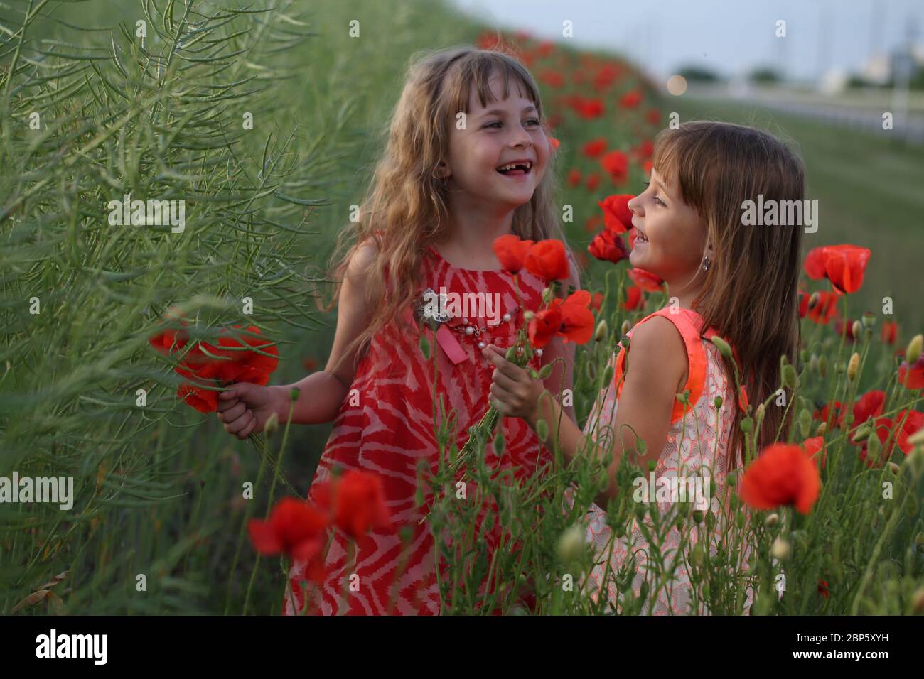 Two girls collect a bouquet of poppies Stock Photo - Alamy
