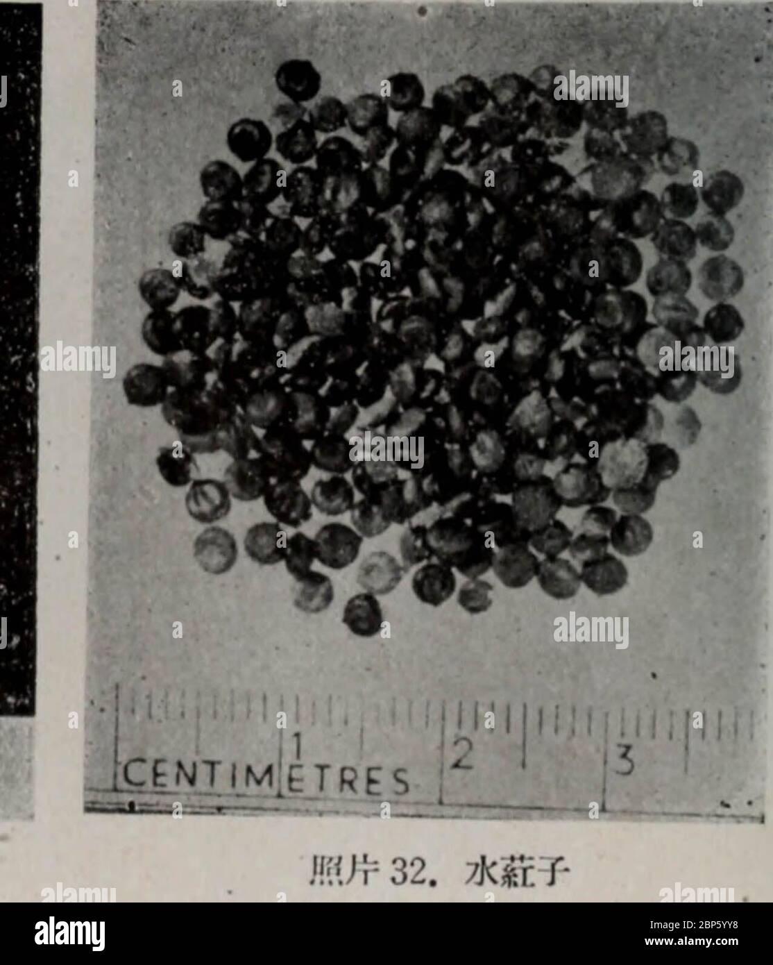 "dong bei zhi wu yao tu zhi" (1959 Stock Photo - Alamy