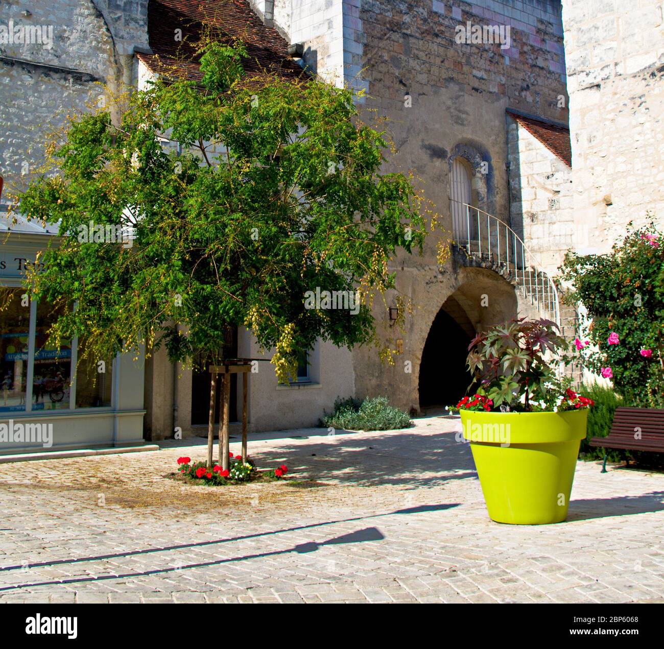 Pot plant courtyard hi-res stock photography and images - Alamy
