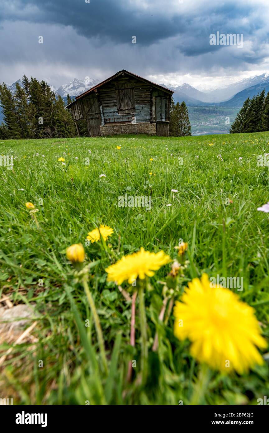 Frutigen berne hi-res stock photography and images - Alamy