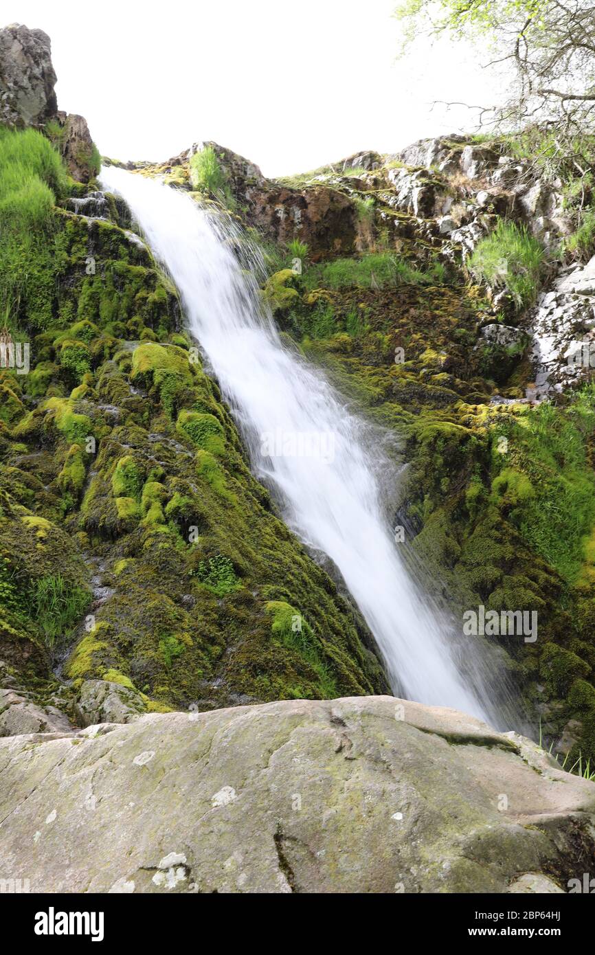 Linhope spout waterfall hi-res stock photography and images - Alamy