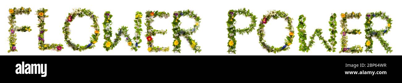 Flower And Blossom Letter Building Word Flower Power Stock Photo - Alamy