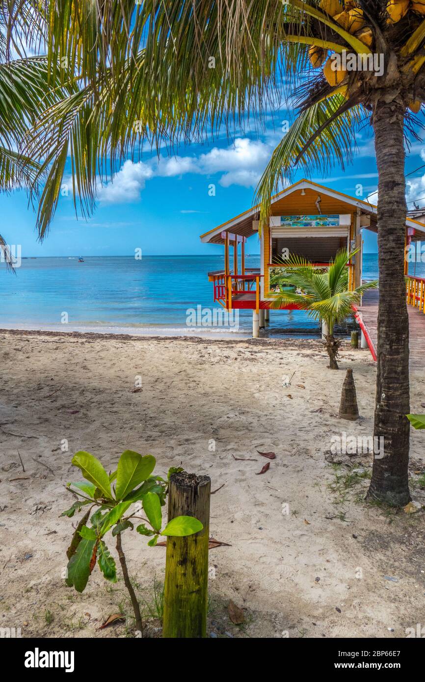 West End Roatan Stock Photo - Alamy
