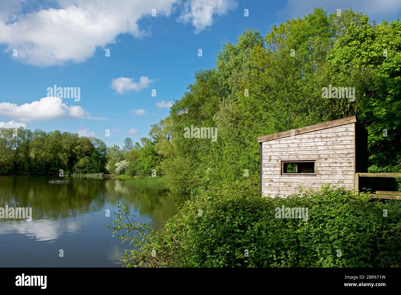 Ponds ponds ponds ponds spring hi-res stock photography and images - Alamy