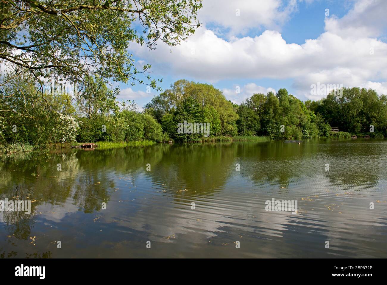 Eastrington hi-res stock photography and images - Alamy