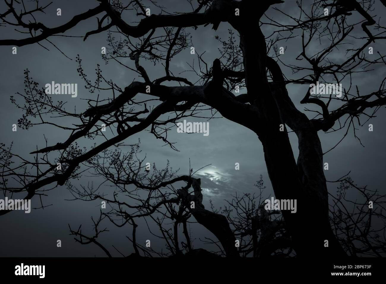 Sad Death Backgrounds