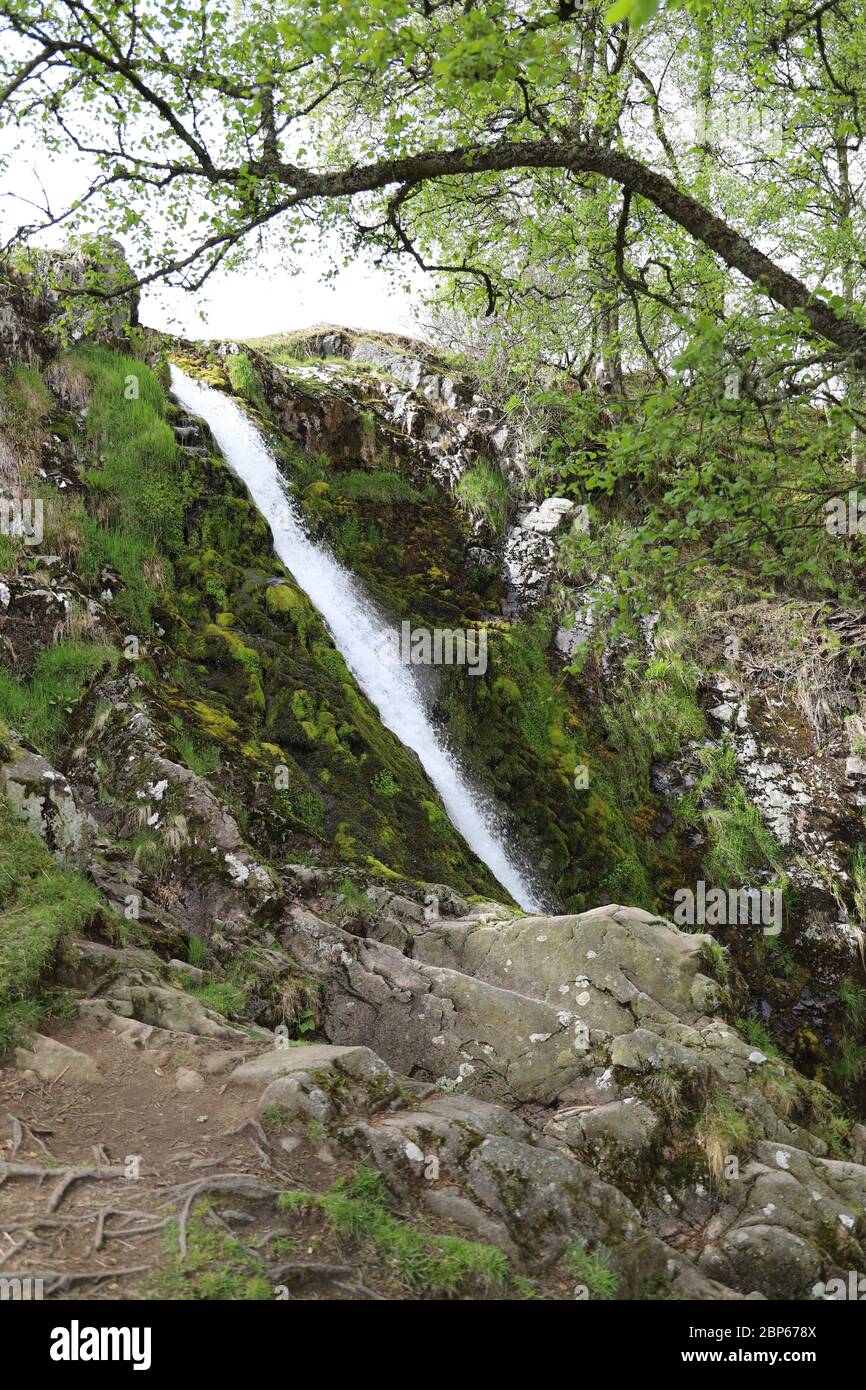 Linhope Spout Waterfall High Resolution Stock Photography and Images ...