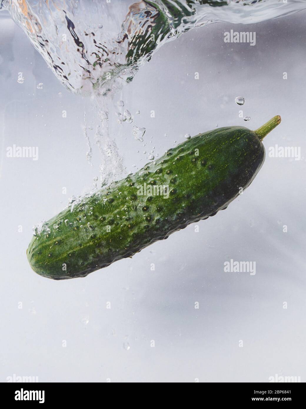 cucumber in water on a white background Stock Photo - Alamy