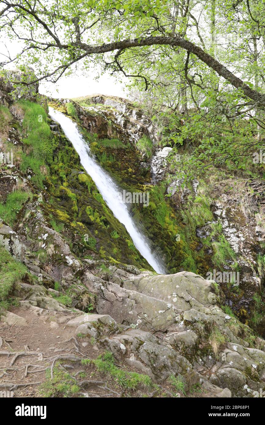 Linhope spout waterfall hi-res stock photography and images - Alamy