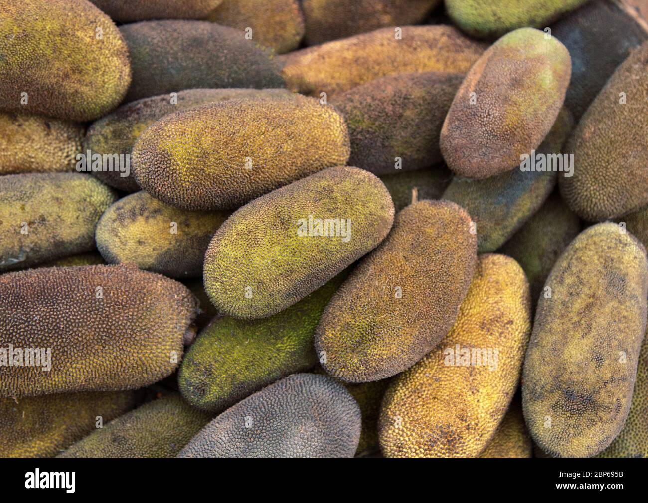 Breadfruit background. Breadfruit on Indian market. ripe fruit of ...