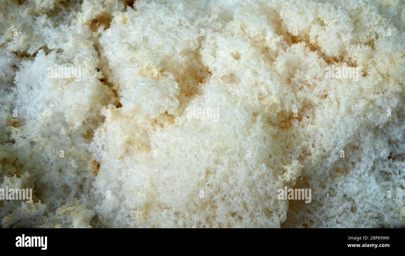 Concentrated foam in stream in nature. White porous foam close up Stock ...
