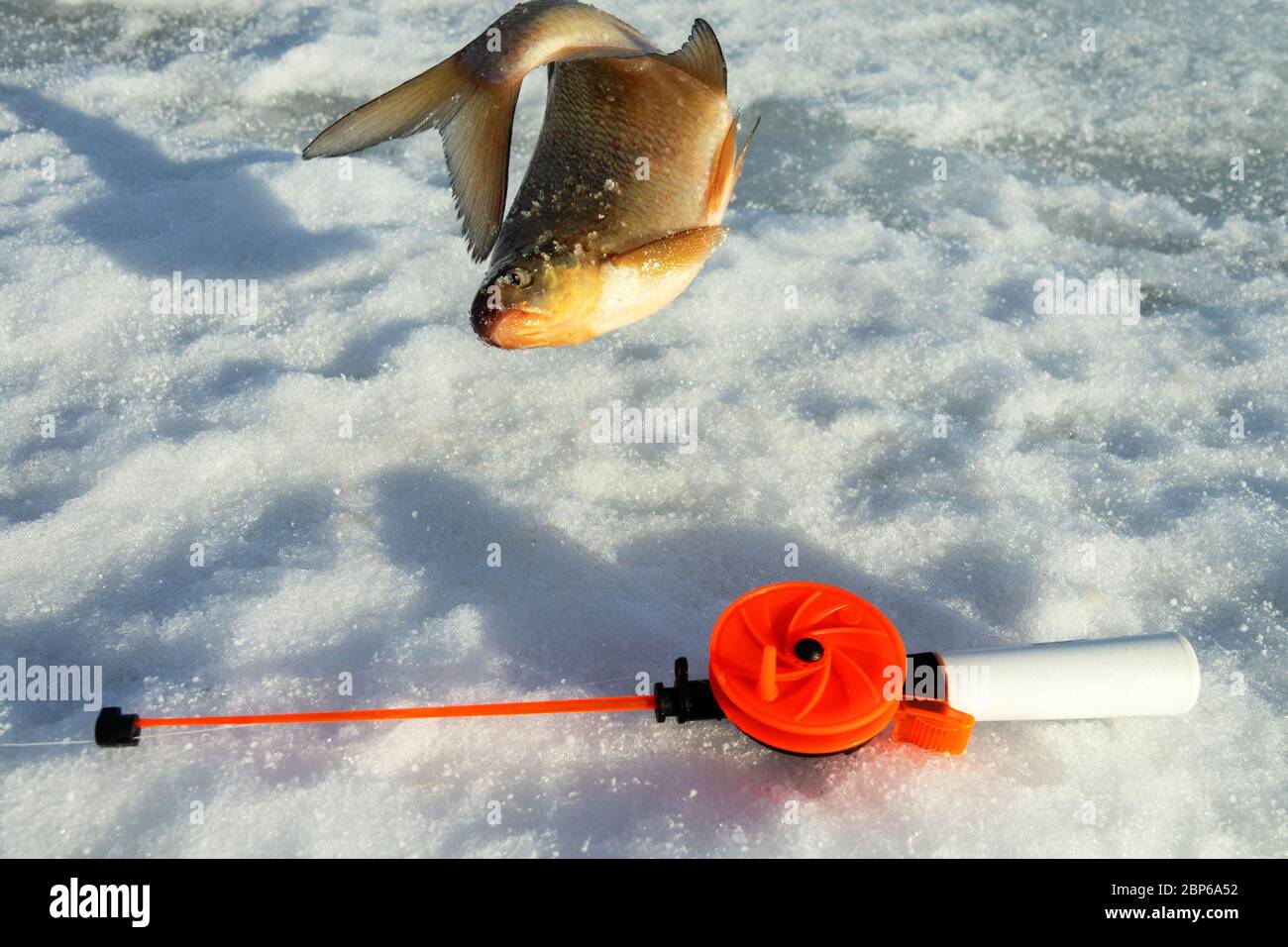 Danube bream hi-res stock photography and images - Alamy