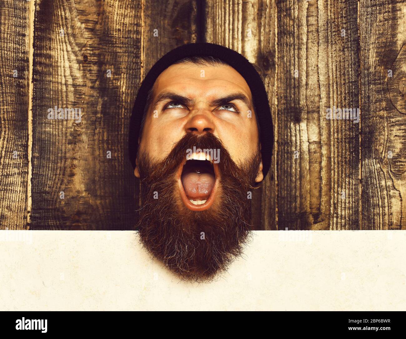 Bearded man, long beard. Brutal caucasian angry shouting unshaven ...