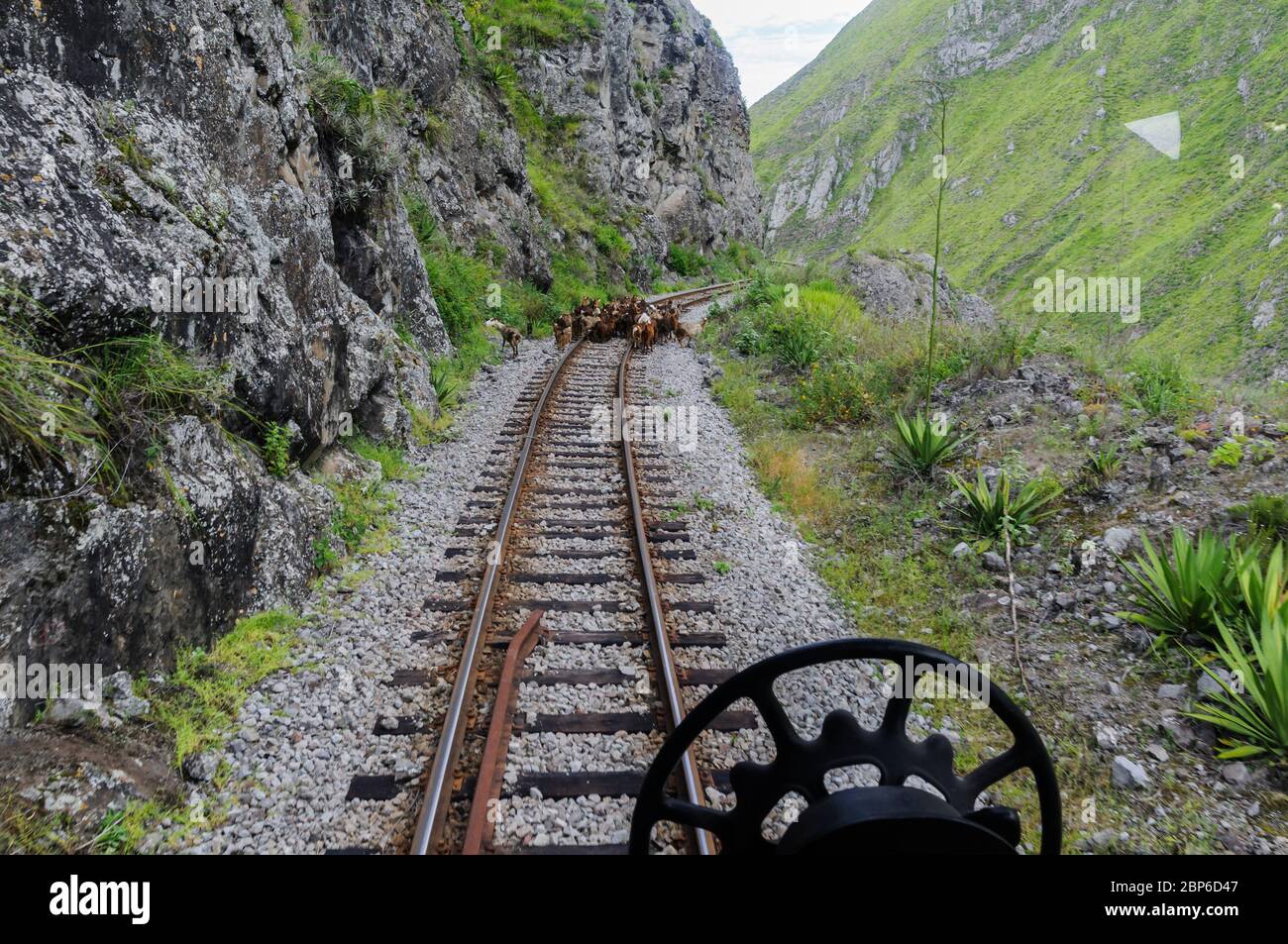 Ecuador andes train hi-res stock photography and images - Alamy