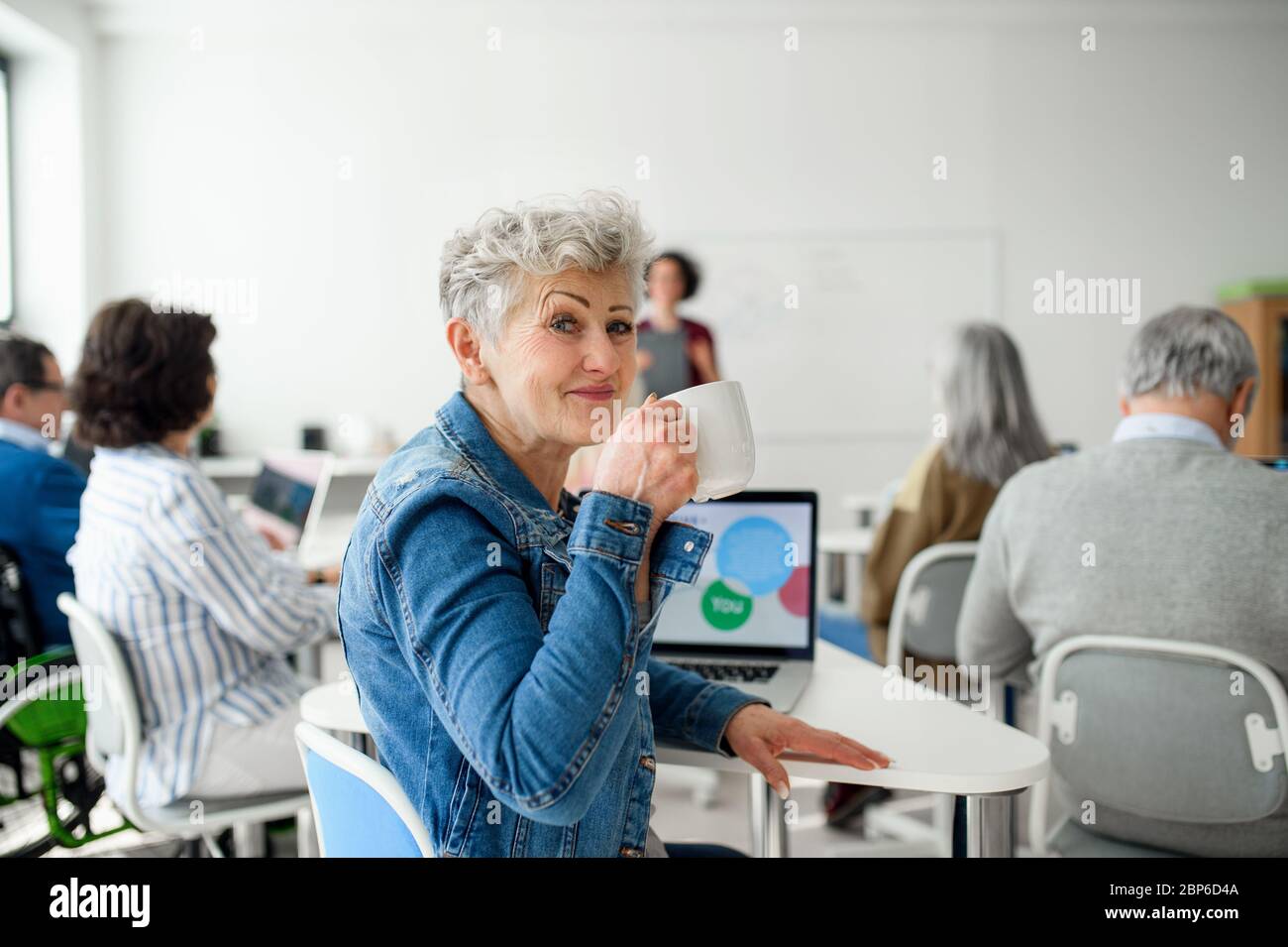 Portrait of senior attending computer and technology education class ...