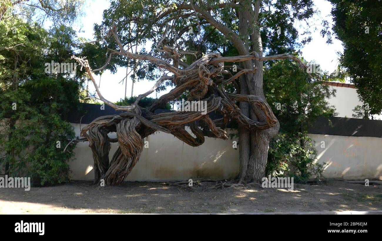 Los Angeles, California, USA 17th May 2020 A general view of atmosphere ...
