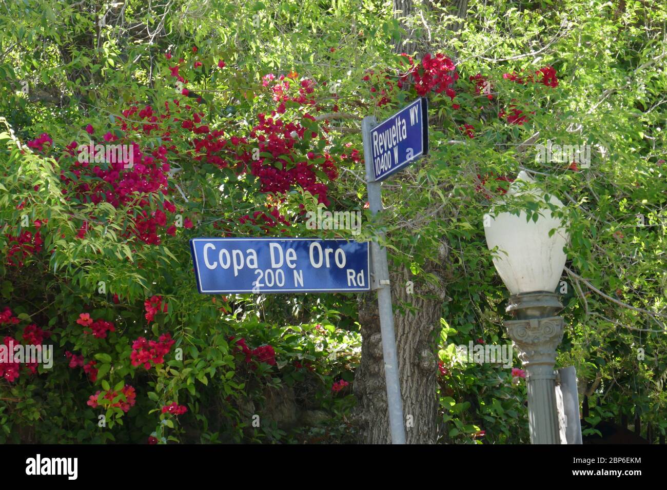 Los Angeles, California, USA 17th May 2020 A general view of atmosphere ...