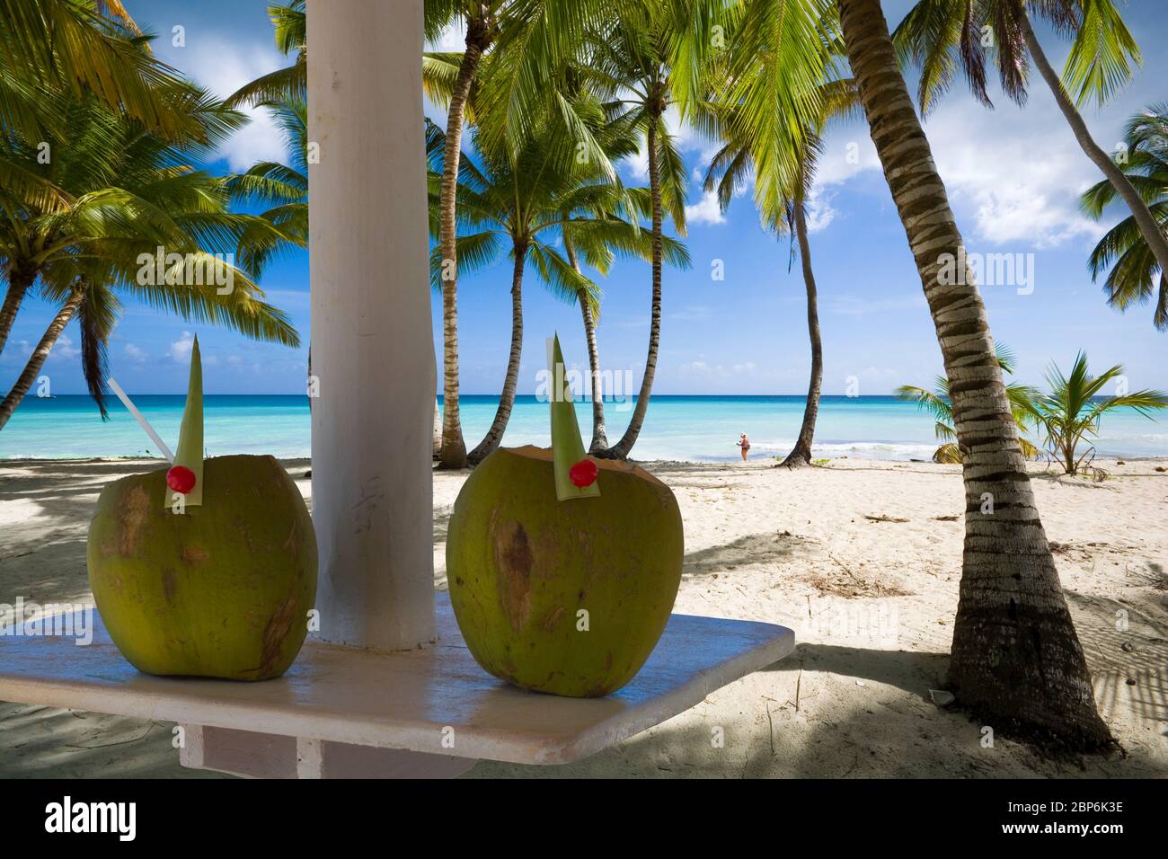 Coconut drinks on table under palm tree leaves umbrella on tropical ...