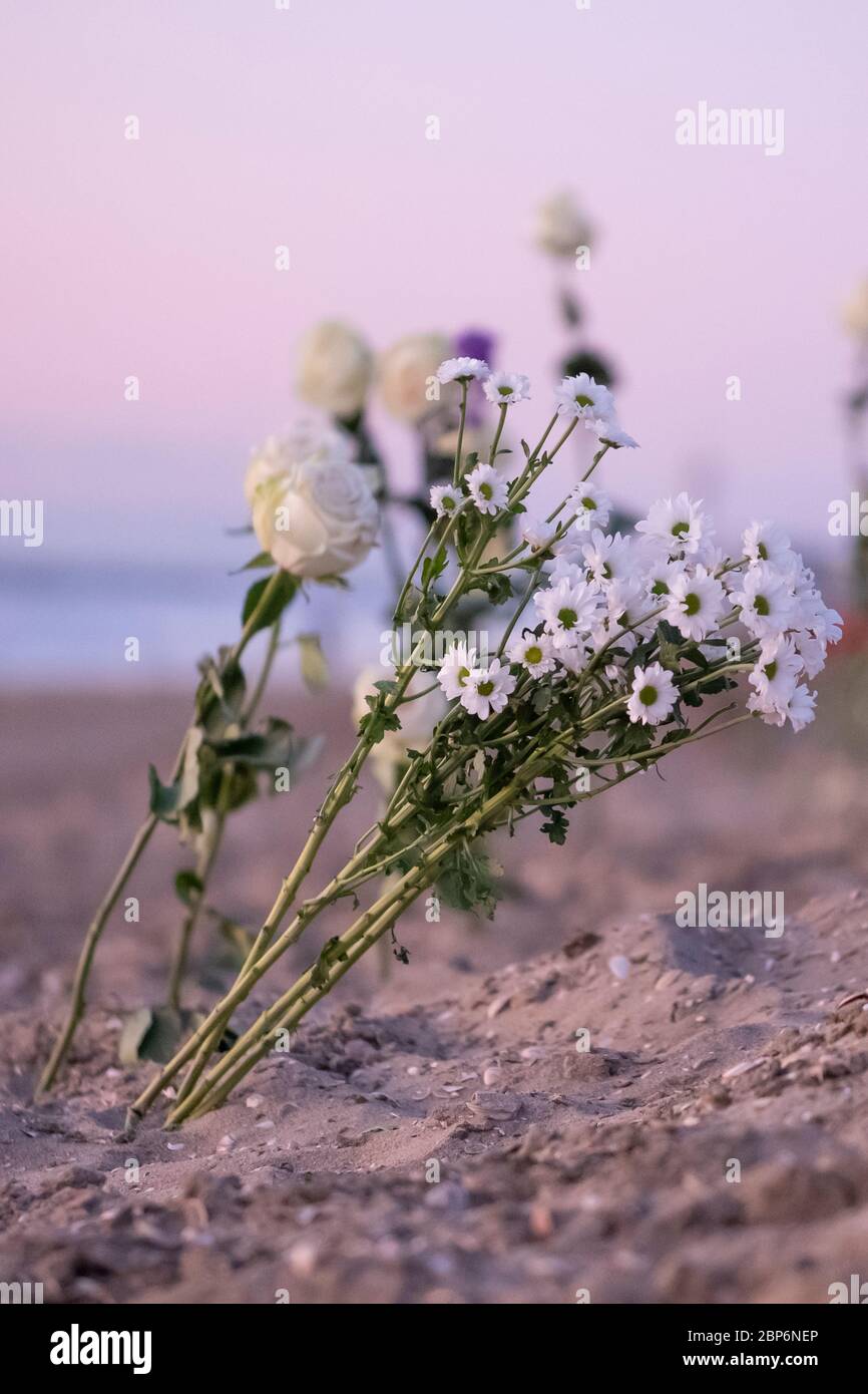 Funeral flower, lonely white and red roses and daisy flowers at the ...
