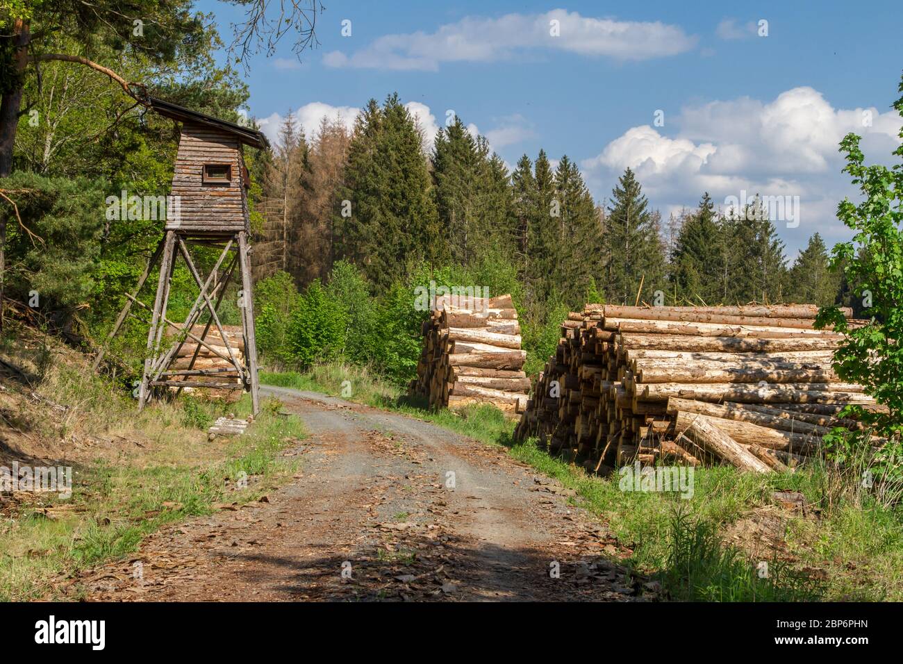 Timber industry austria hi-res stock photography and images - Alamy