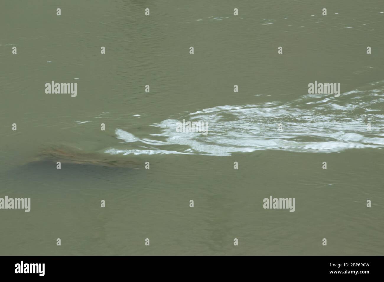 Rock in the water of a river creating waves on the surface of the ...