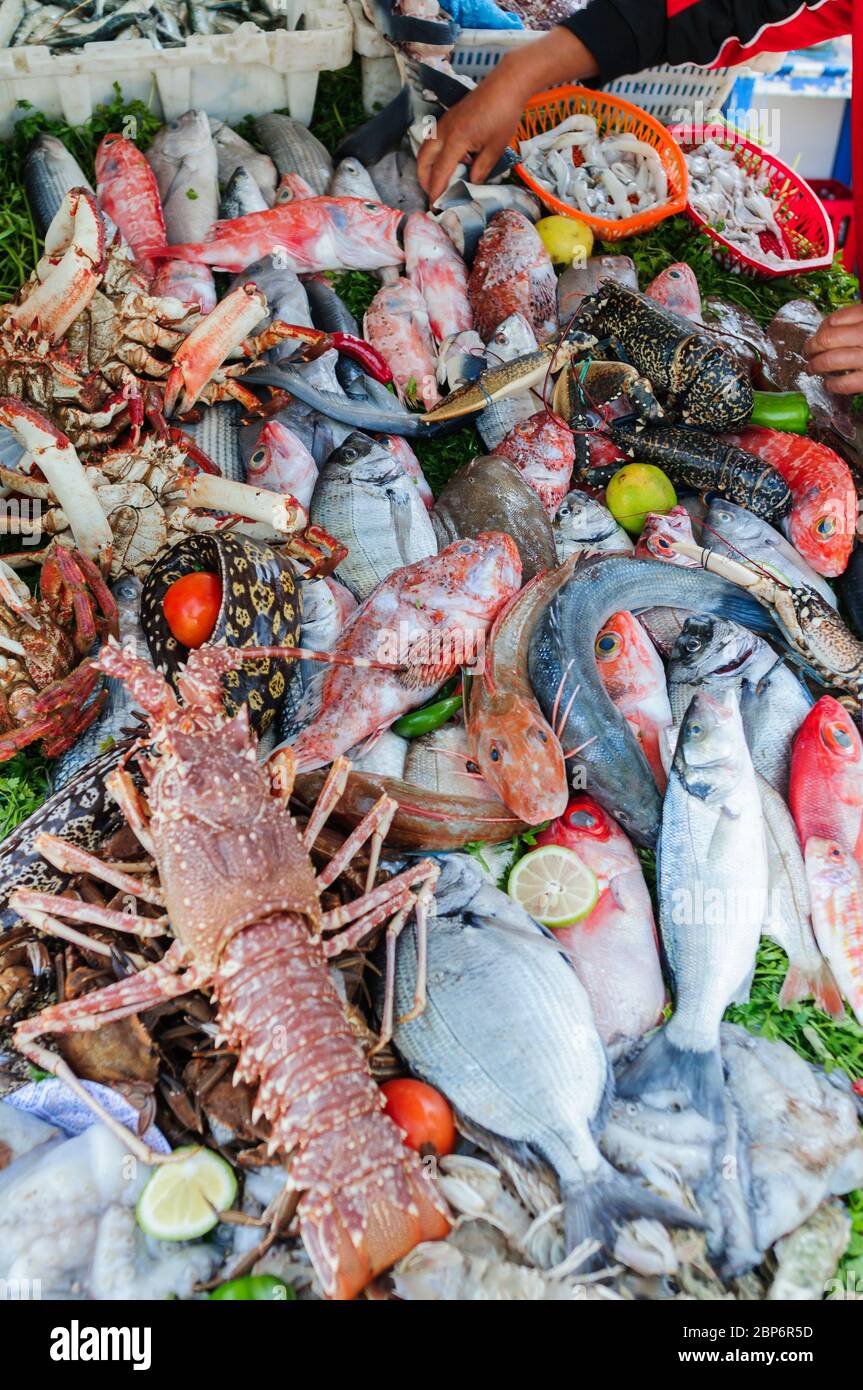 Fish and seafood Stock Photo - Alamy