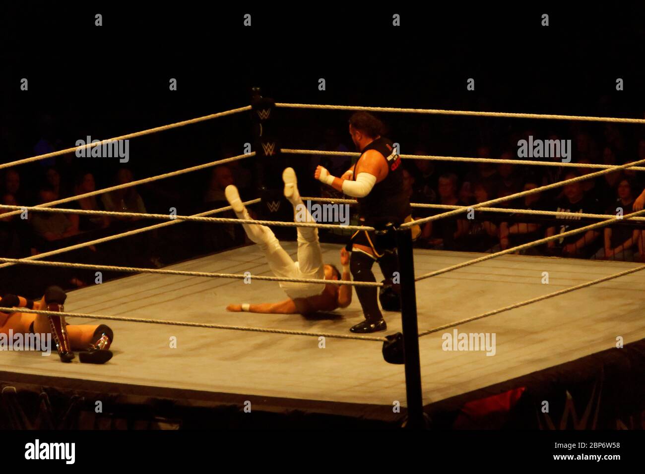 The WWE Live Event "SmackDown Live" in Hamburg Stock Photo - Alamy
