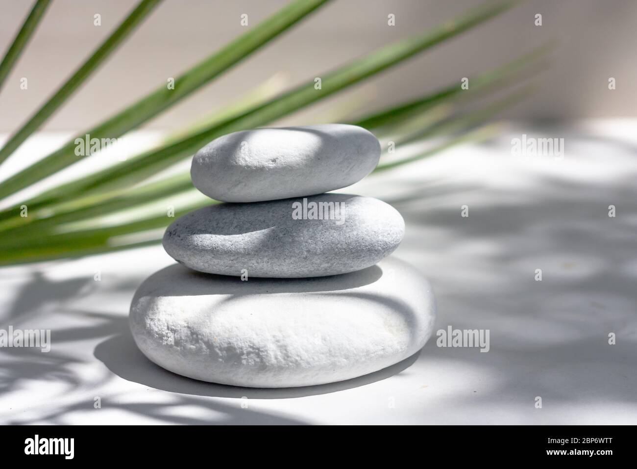 Zen Grey Green Background