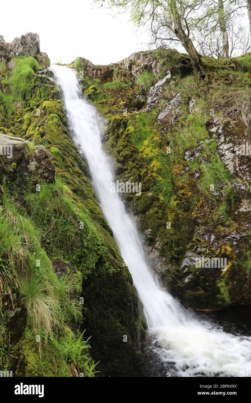 Linhope Spout Waterfall High Resolution Stock Photography and Images ...