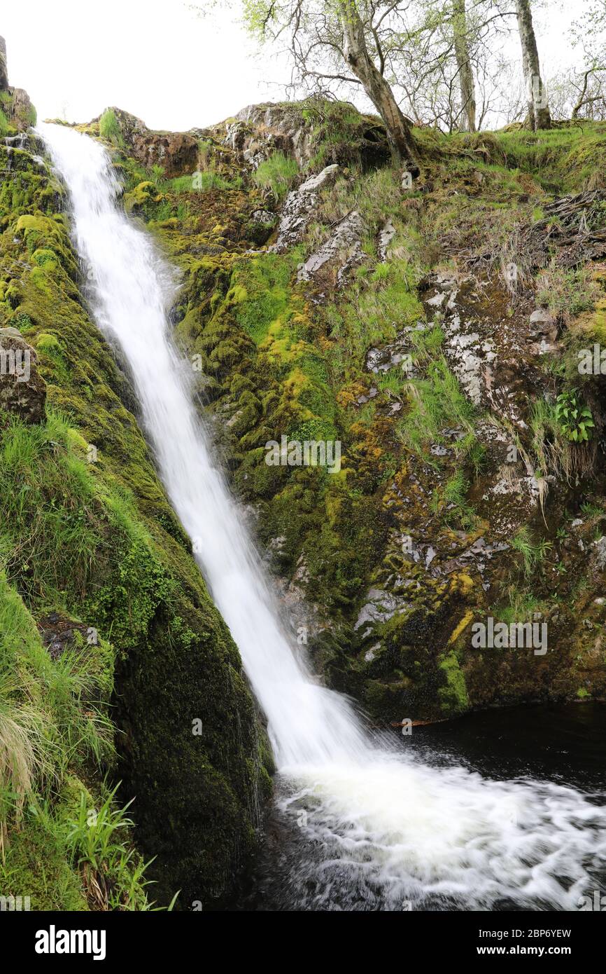 Linhope spout waterfall hi-res stock photography and images - Alamy