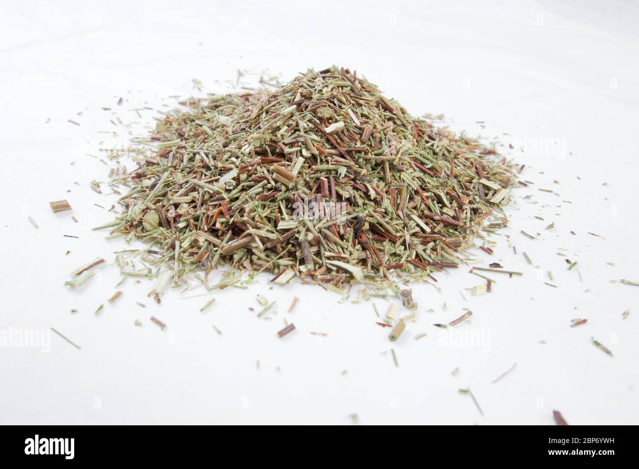 tea Rooibos Aspalathus Linearis Stock Photo - Alamy