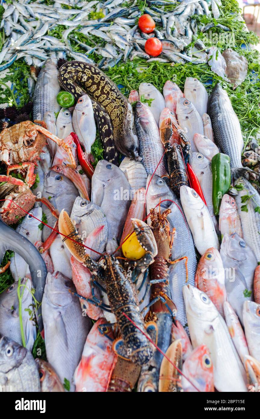 Fish and seafood Stock Photo - Alamy
