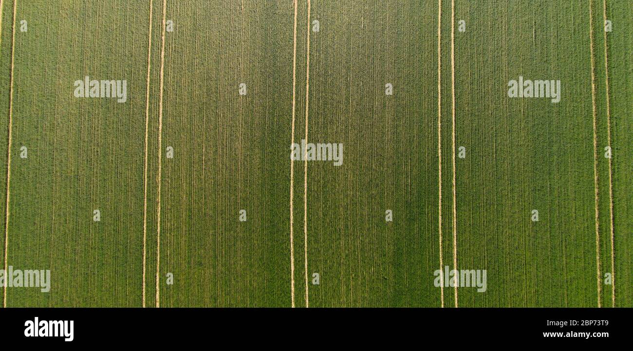 Top-Down view over agricultural farmlands Stock Photo - Alamy