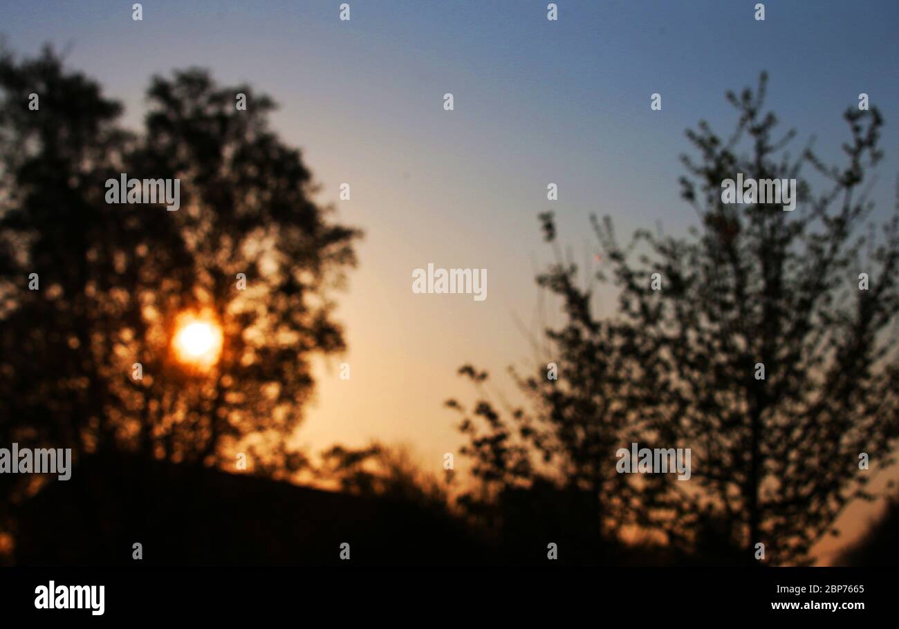 Sunrise over Orangefield Park in Belfast, Northern Ireland, on a warm ...