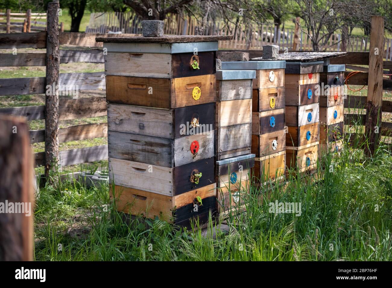 Beehives standing outdoors in nature Stock Photo - Alamy