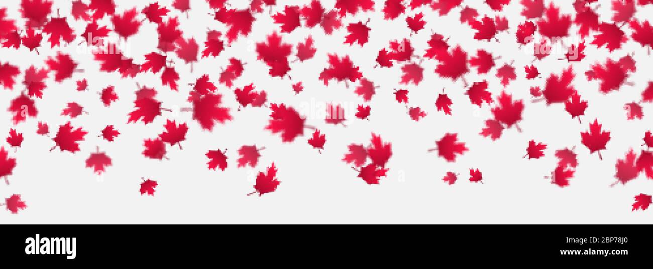 Falling red maple leaves background. Canada Day, July 1st celebration ...