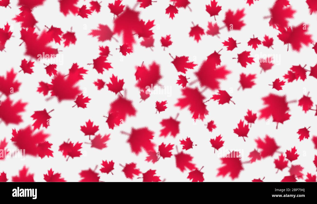 Falling red maple leaves background. Canada Day, July 1st celebration ...