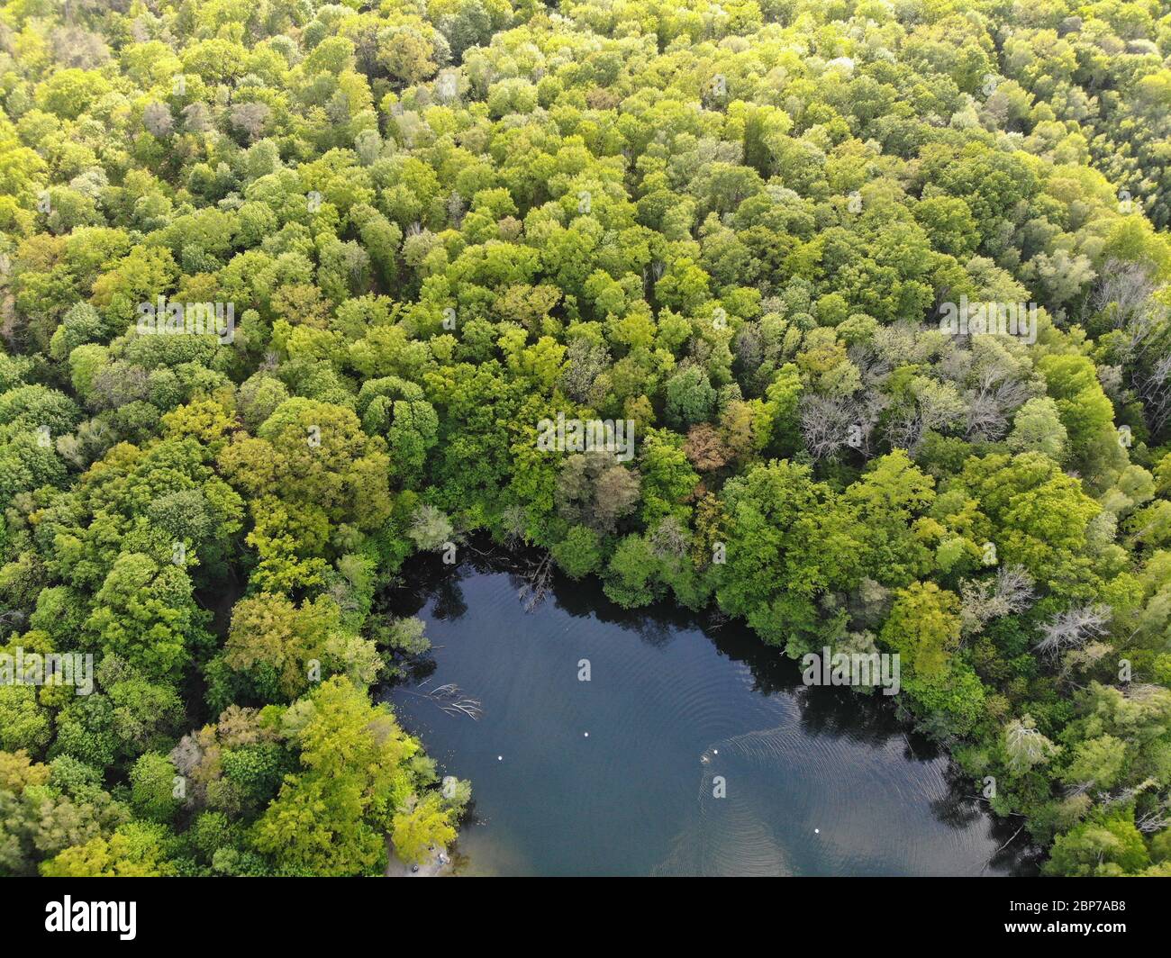 Aerial view of lake Teufelssee a glacial lake in the Grunewald forest ...