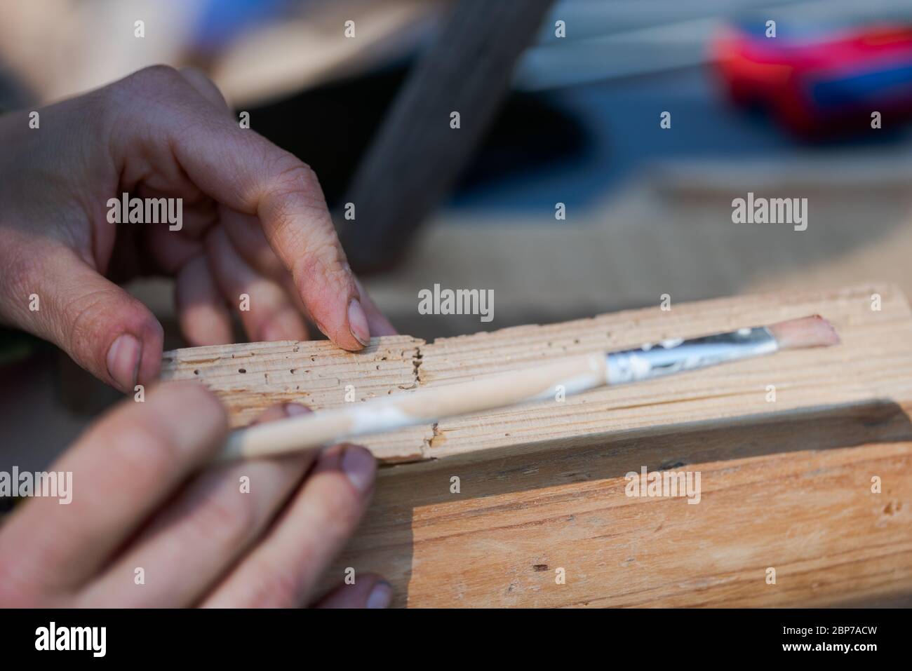 Applying wood glue hi-res stock photography and images - Alamy