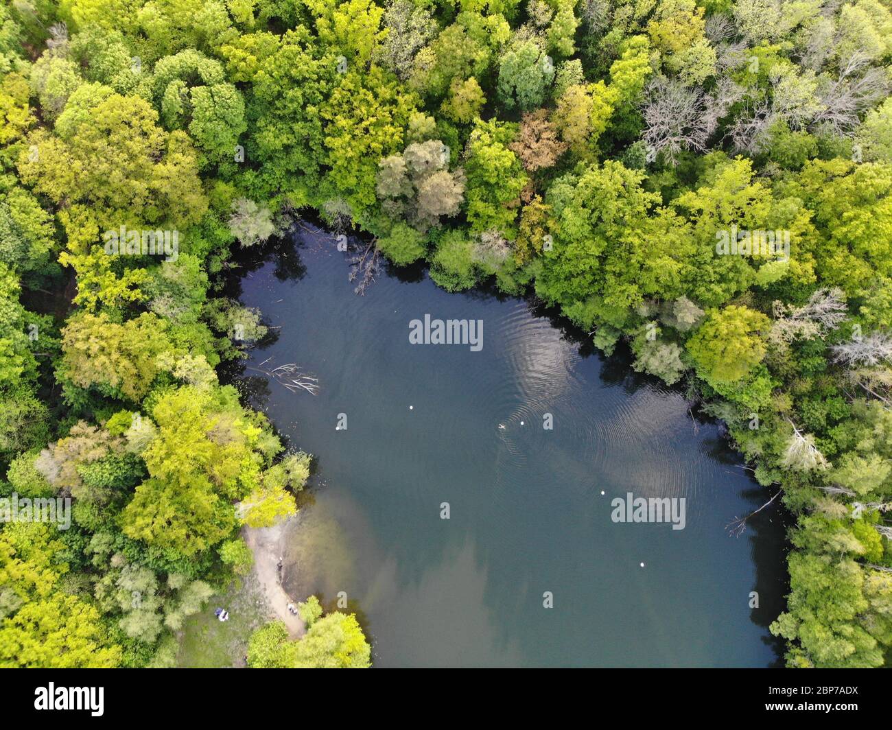Aerial view of lake Teufelssee a glacial lake in the Grunewald forest ...