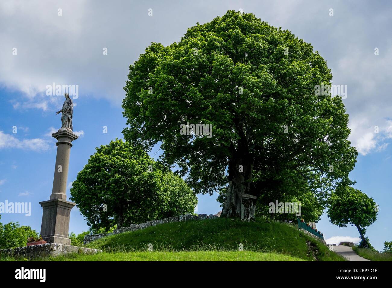 Holly Virgin statue at foot of 400 years old Sully's linden, Inimond ...