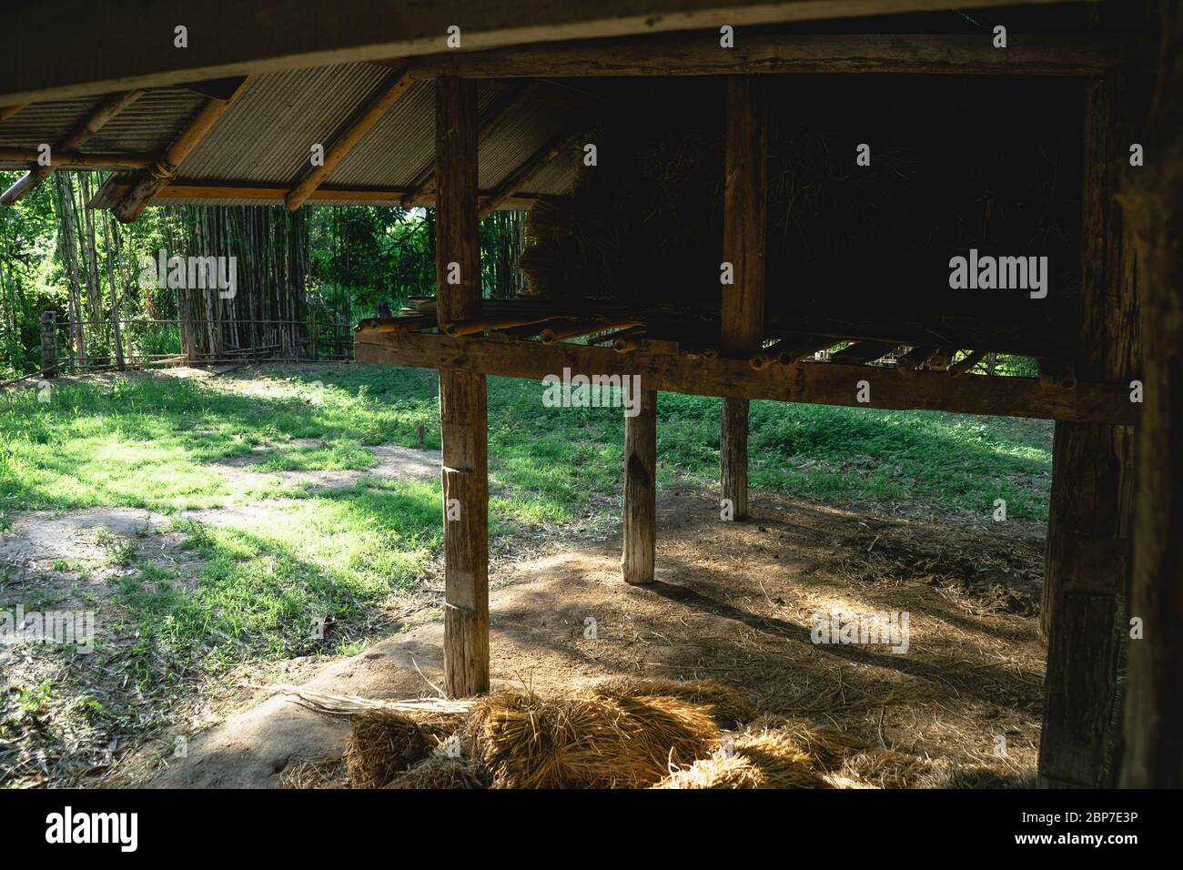 Sheds -Farm grass sheds In asia evening Stock Photo - Alamy