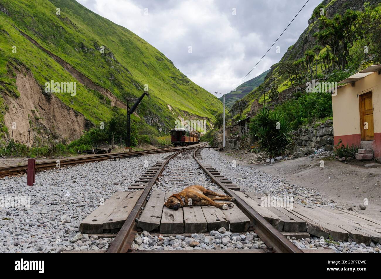 Transportation in ecuador hi-res stock photography and images - Alamy