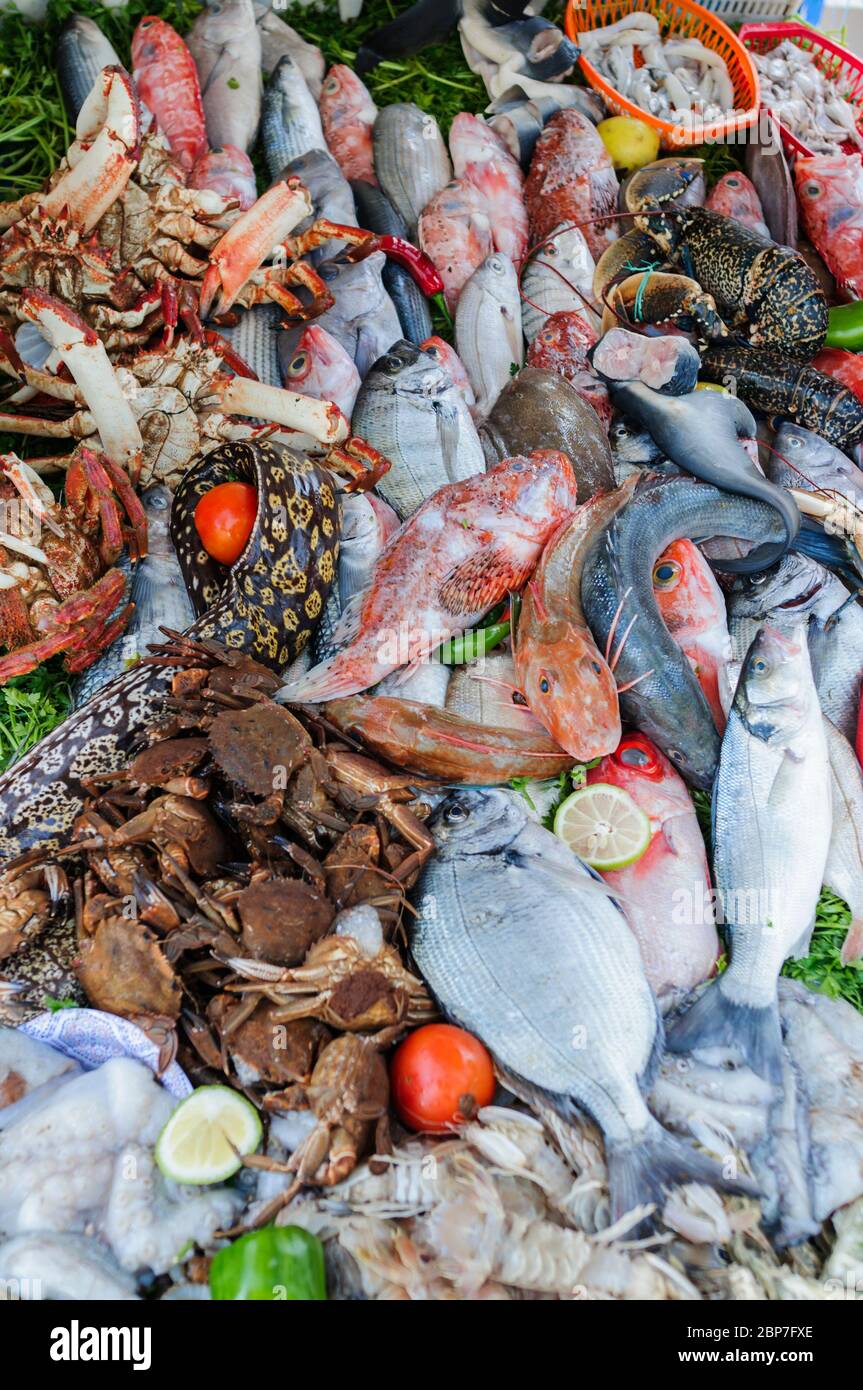 Fish and seafood Stock Photo - Alamy