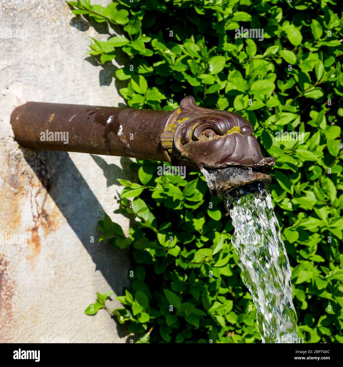 Fountain sprout hi-res stock photography and images - Alamy