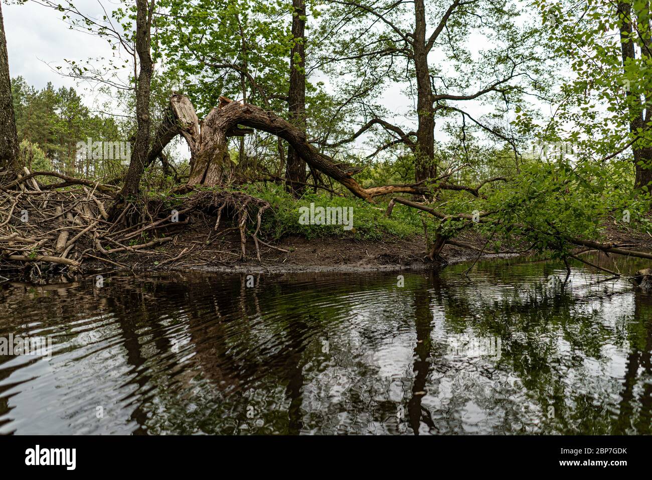 Overhanging beams hi-res stock photography and images - Alamy
