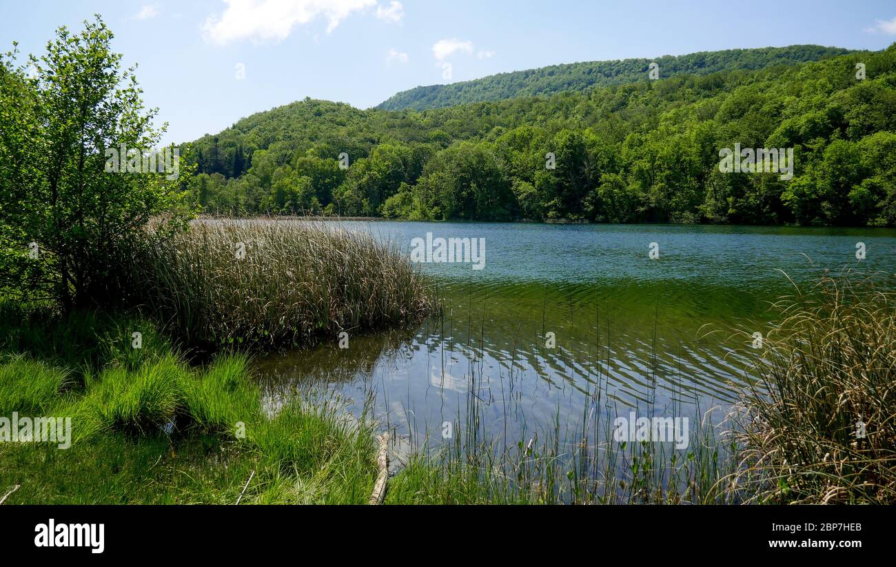 Lake of Ambleon, Bugey Massif, Ain, France Stock Photo - Alamy