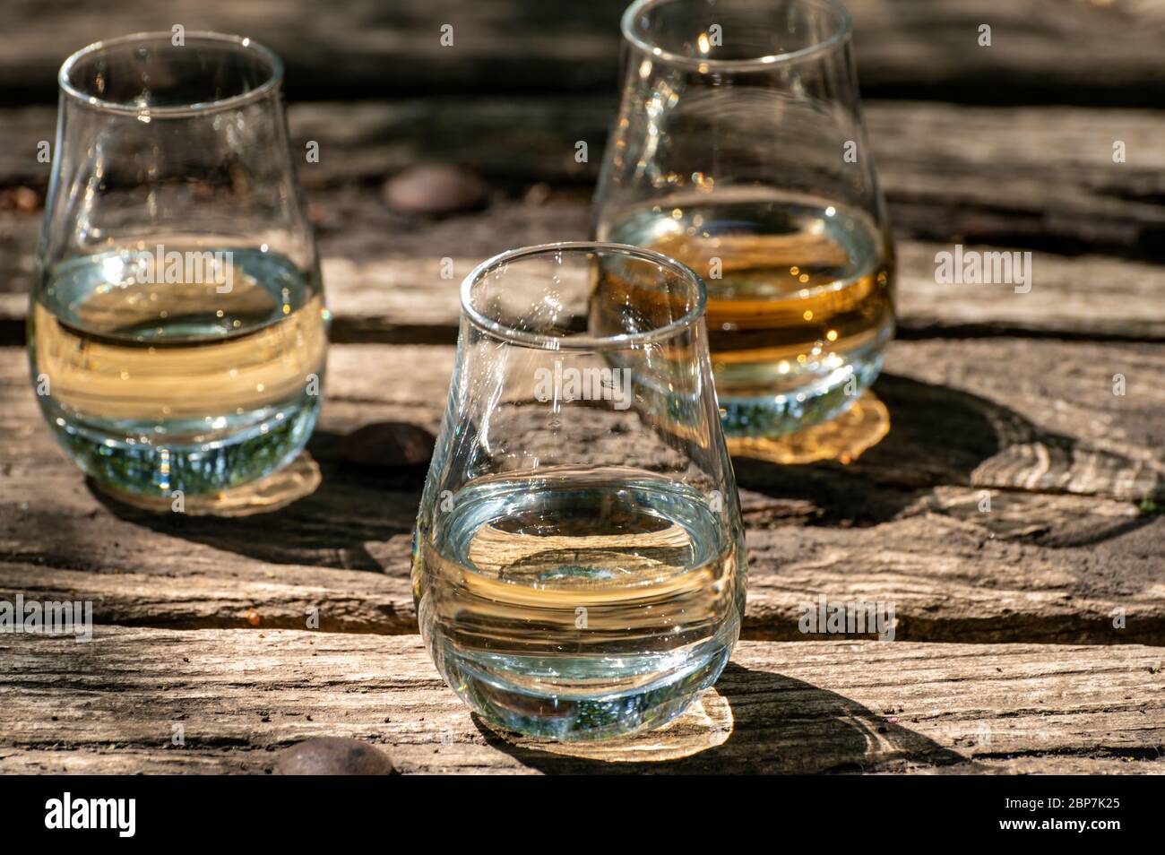 Tasting of different Scotch whiskies on outdoor terrace, dram of ...